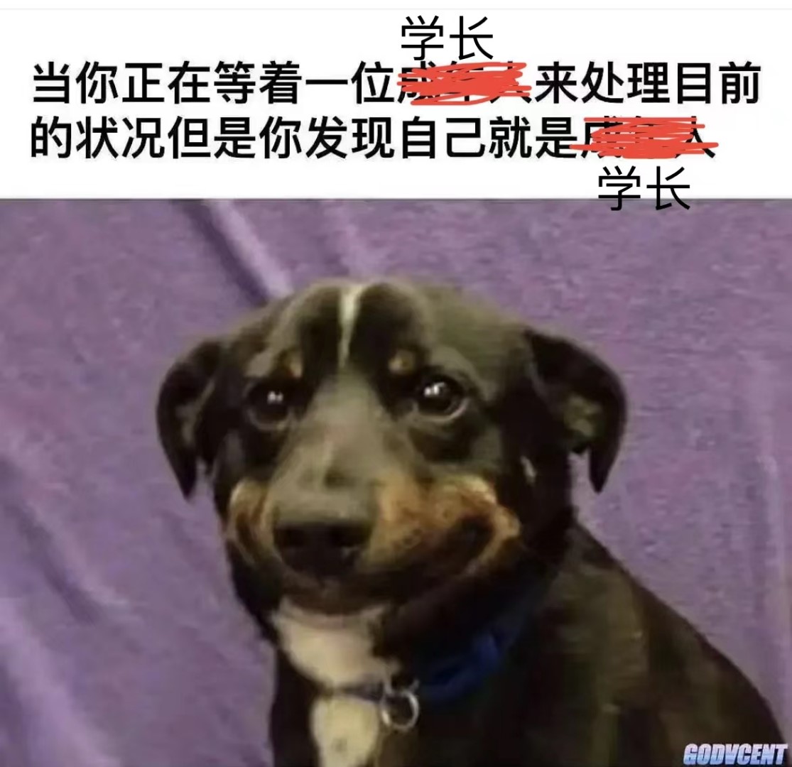 2022年总结 - ddadaal.me